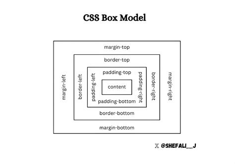 Css Box Model And Layout Learnify