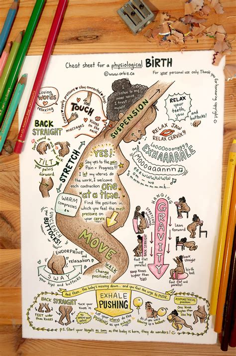 Cheat Sheet For A Physiological Birth Poster Dark Skin Orbie