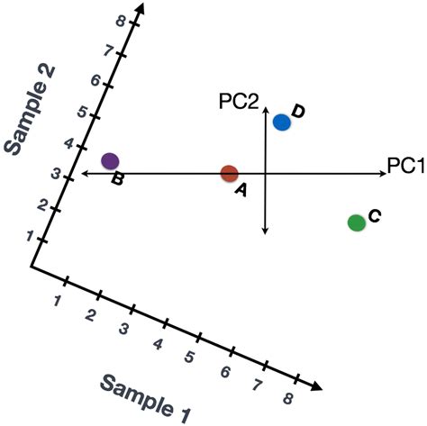 Single Cell Rna Seq Theory Of Normalization And Pca Introduction To