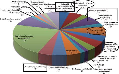 Figure 2 From Rna Seq Based Transcriptome Profiling Of Early Nitrogen