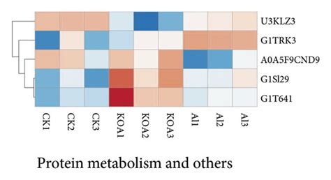 Hierarchical Clustering Analysis Of The Differentially Accumulated
