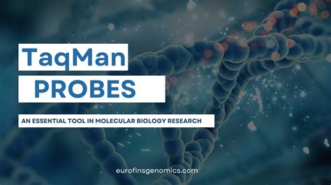 Taqman Probes An Essential Tool In Molecular Biology Research