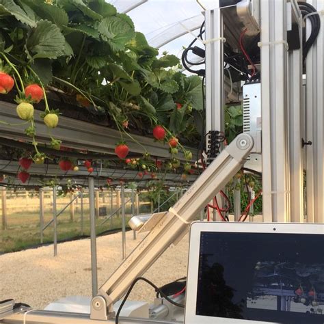 Pdf Labfruits A Rapid And Robust Outdoor Fruit Detection System Combining Bio Inspired