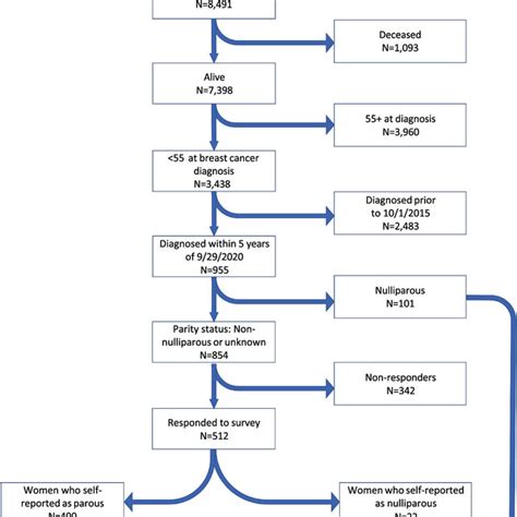 Flow Diagram Of Eligible Participants Download Scientific Diagram