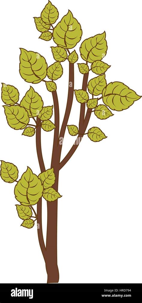 Green Small Leafy Tree Forest Icon Stock Vector Image And Art Alamy