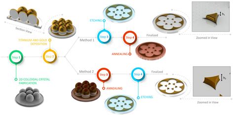 The Schematic Illustration Of Two Applied Methods In This Work For