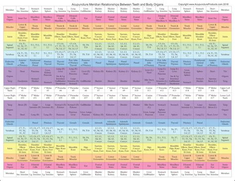 Dental Tooth Acupuncture Meridian Chart