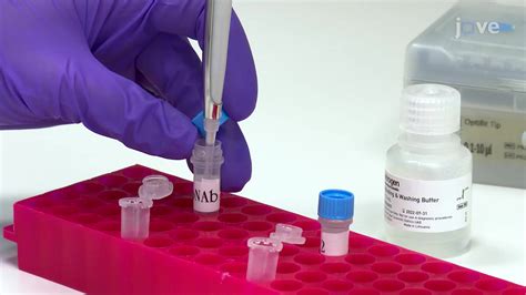 Video The Virus Like Particles Capture Assay A Method To Isolate