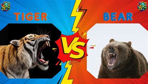 Tiger Vs Bear Ultimate Battle Of Strength And Survival