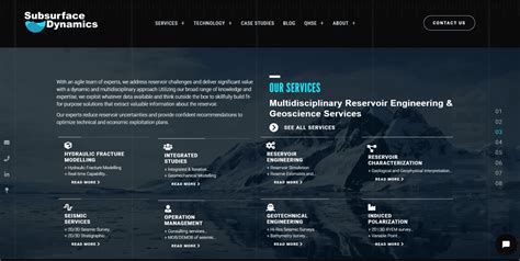 reservoir characterization an essential guide for oil and gas