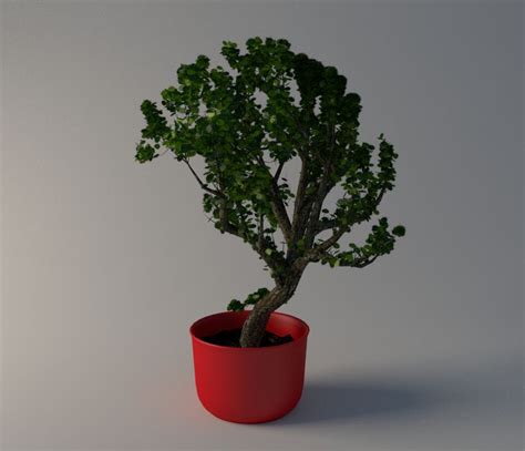 화분에 심은 나무 3d 모델 20 Max Obj Fbx C4d Free3d