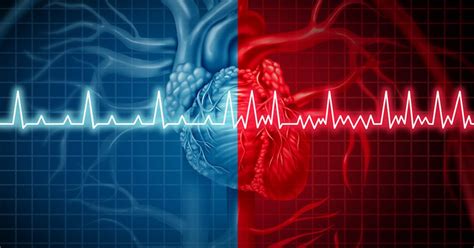 Echocardiographic Estimation Of Left Atrial