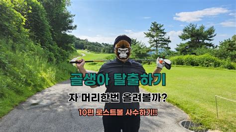 골생아 10 로스트볼을 사수하라 골프연습용품 골프스윙연습기 골프퍼팅연습기 퍼팅연습기 골프그립교정기 실내골프연습