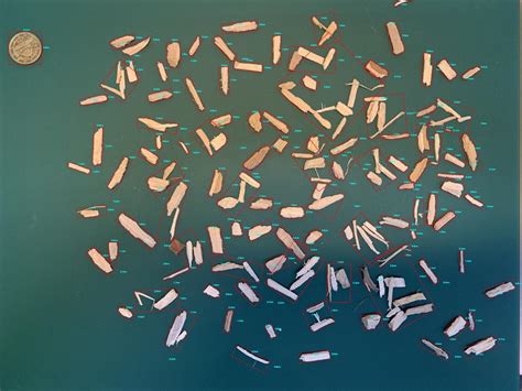 Python How Do I Differentiate Individual Objects In An Image When They Are Clustered Together