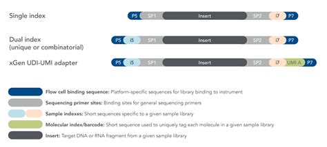 adapters for next generation sequencing idt by lubio