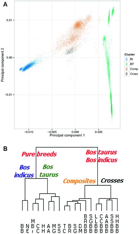 A Principal Component Analysis Of Snp Genotypes Corresponding To Download Scientific Diagram