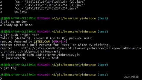 git分支与tag标签的介绍与使用 git tags csdn博客