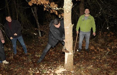 УЖИЦЕ СЕЧА БАДЊАКА У СЕЛУ КАРАН ТВ 5 Ужице