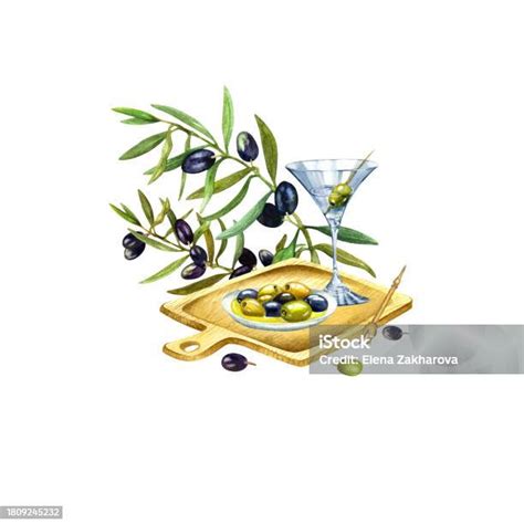 손으로 그린 수채화 쟁반에 마티니 잔 꼬치에 올리브 잘 익은 블랙과 그린 올리브 레스토랑 카페 제품의 메뉴 디자인을 위해 흰색 배경에 고립된 알코올 음료 건강한 식생활에