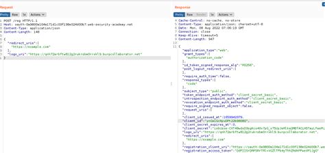 portswigger oauth authentication görkem Özkanat