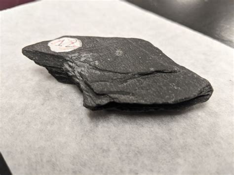 Metamorphism Rocks Agents Types And Relation Flashcards Quizlet