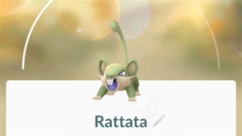 Is There A Shiny Rattata In Pokemon Go Dexerto