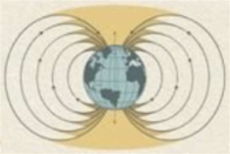 Torus Field A Very Fundamental Part Of Nature