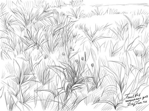 How To Draw Grass Step By Step Рисунки ландшафт Рисование деревьев