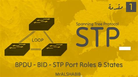 STP Spanning Tree Protocol شرح CCNA MrALSHABIB