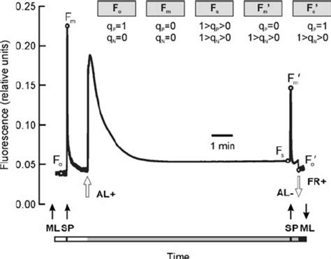 Principle Of The Fluorescence Quenching Analysis Using The Download Scientific Diagram
