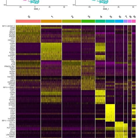 Clusters Of Single Cell Rna Sequencing Data A Based On Available