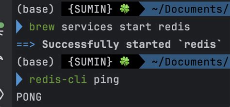 사전 준비 Mac M1 이상에서 Redis 실행 및 Spring Boot 연동하기