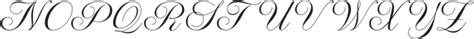 wt hilton script fancy otf 400 font script elegant what font is