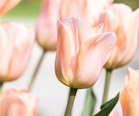 친구 아들 결혼 축하 인사말 메시지 문구 모음