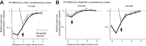 Figures And Data In Spatiotemporal Constraints On Optogenetic
