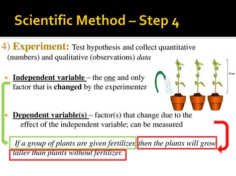 Scientific Method Steps Ppt Download