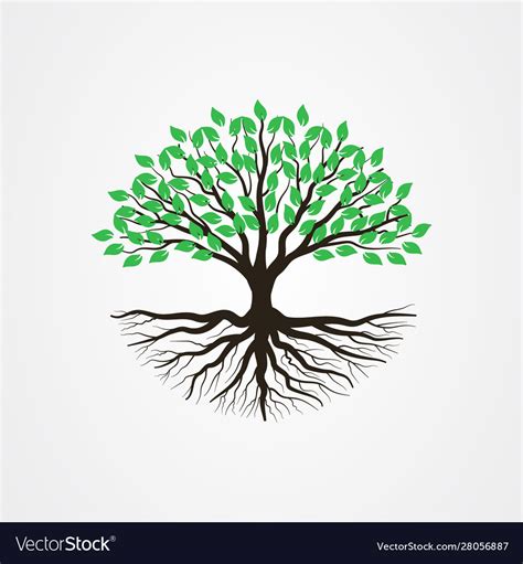Abstract Tree With Roots And Green Leaves Vector Image