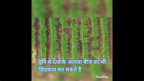 Ravi Kumar Sahu On Linkedin Agriculture Drone ड्रोन सबसे तेज खेतों