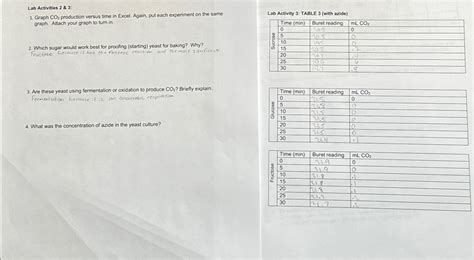 solved lab activities 2 ﻿and 3 graph co2 ﻿production versus