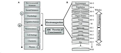 A The Organizational Hierarchy Of Sciences In The Lineage Relevant Download Scientific