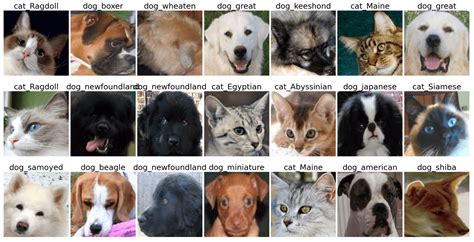 Introduction To Deep Learning For Computer Vision Ready To Use