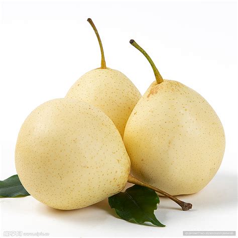 鸭梨摄影图 水果 生物世界 摄影图库 昵图网
