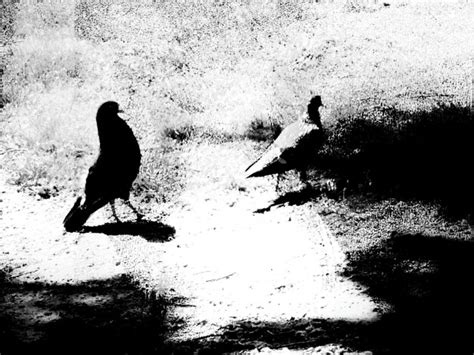 Premium Photo Open Edit