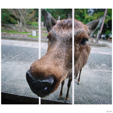 Mysql And Mariadb Online Ddl的详解示例 Mysql数据库 亿速云