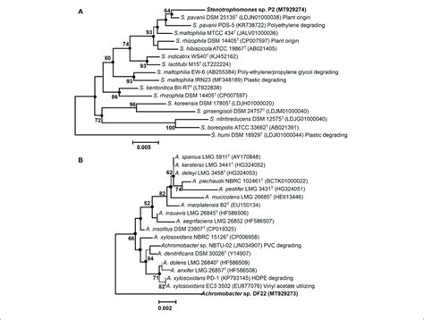 maximum composite likelihood based neighbor joining nj phylogenetic