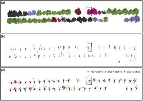 Located Street Tree Positions On Dataset I A Potential Tree Crowns Download Scientific