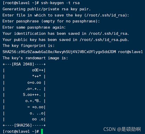 linux系统ssh免密登录教程 csdn博客