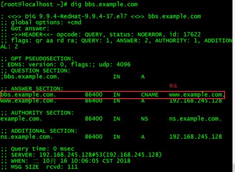 Dns服务器搭建与配置 曹世宏的博客