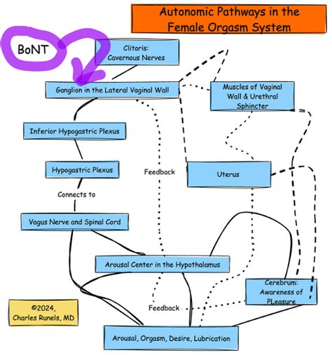 Clitoxin Botulinum Toxin For Improved Sexual Function In Women