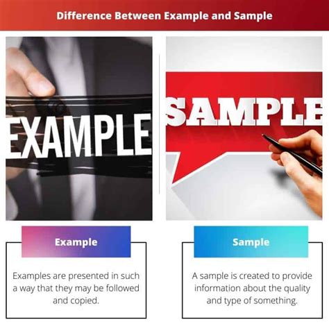 Example Vs Sample Difference And Comparison